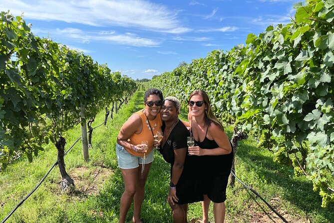 Long Island Wine and Food Day Trip with Sommelier host from NYC - Transportation and Group Size