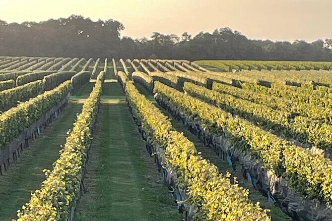 Long Island Wine Tour North Fork Sights, Bites & Flights Full-Day - Authentic Experiences and Insider Knowledge