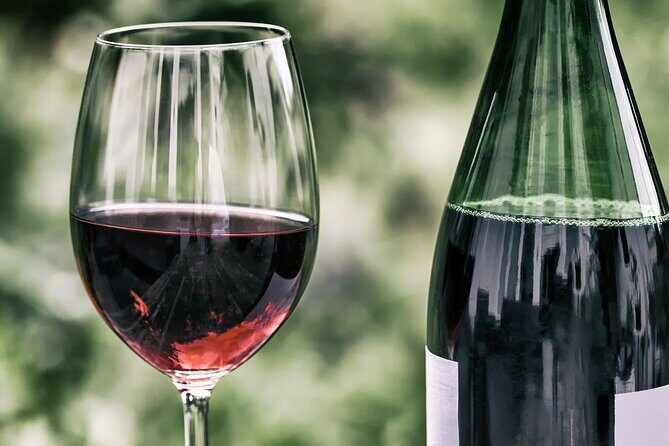 Long Island Wine Tour North Fork Sights Bites Flights Half Day PM - Who Should Book This Tour?