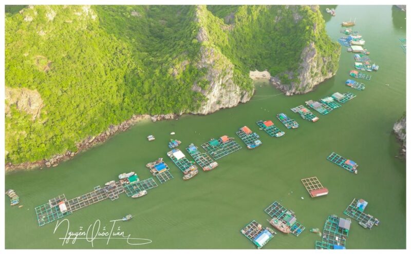 Long Trekking Catba national park, Lan ha bay full day trip - What Makes This Tour Special