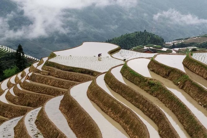 Longji Rice Terraces and Minority Village Day Tour - FAQs