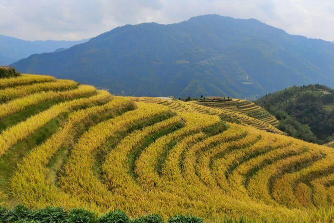 Longji Rice Terraces Day Tour from Guilin hotel - What to Expect at Each Stop