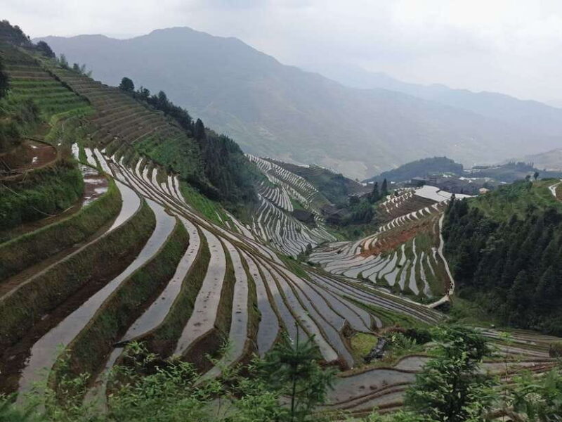 Longji Rice Terraces: Full-Day Private Tour from Guilin - A Scenic Journey Into Chinas Agricultural Heartland