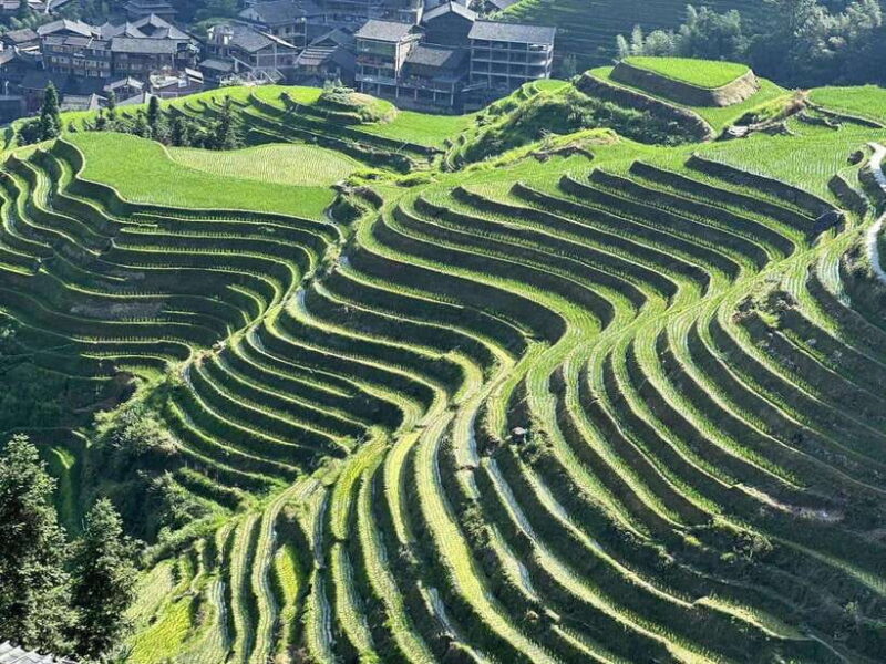 Longji Rice Terraces: Full-Day Private Tour from Guilin - Transportation and Comfort
