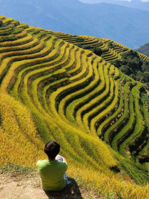 Longji Rice Terraces: Full-Day Private Tour from Guilin - Practical Tips for Travelers