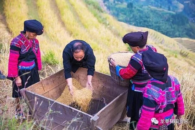 Longji rice terraces & minority villages private day tour - Practical Details and Considerations