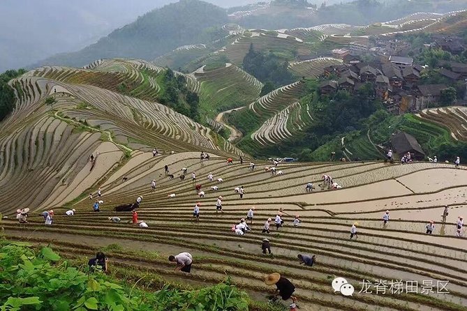 Longji rice terraces & minority villages private day tour - FAQ