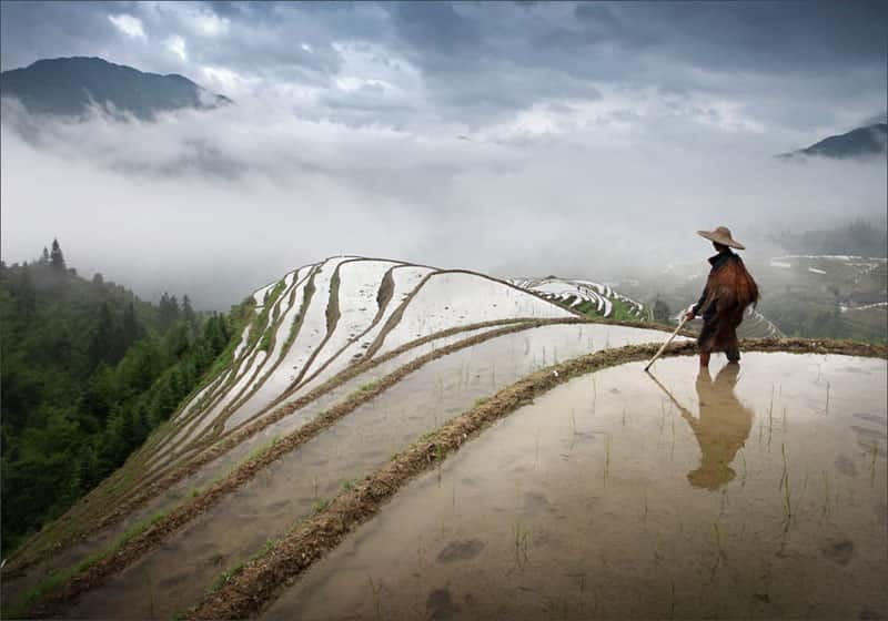 Longsheng Ethnic Minority & Rice Terraces Full-Day Tour - Key Points