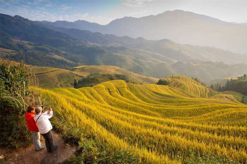 Longsheng Ethnic Minority & Rice Terraces Full-Day Tour - What the Reviews Say