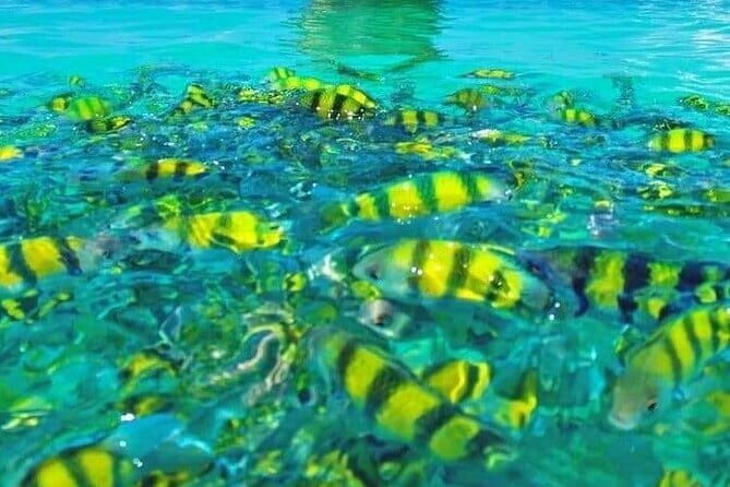 Longtail boat: Krabi 7 Islands Sunset tour Snorkeling - The Sum Up