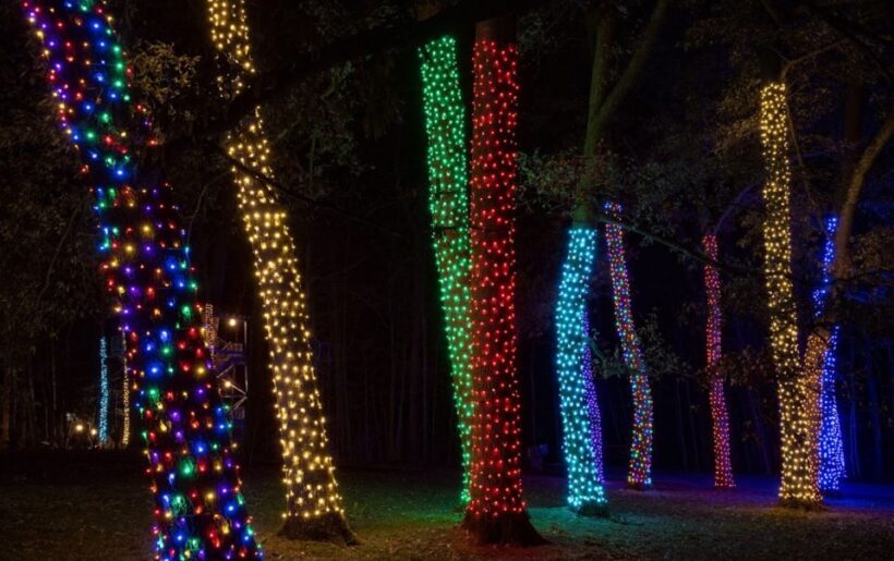 Longwood Gardens Holiday Lights Tour from Philadelphia - Why Choose the Longwood Gardens Holiday Lights Tour?