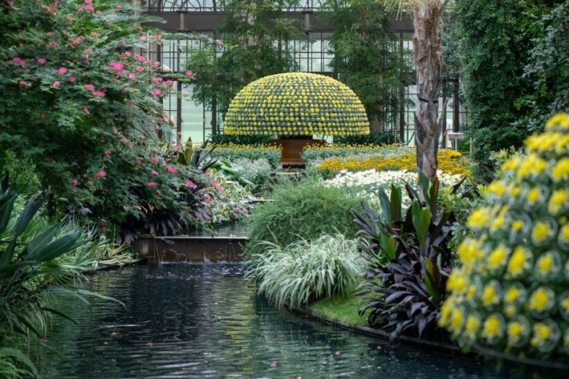 Longwood Gardens Holiday Lights Tour from Philadelphia - Analyzing the Cost and Value