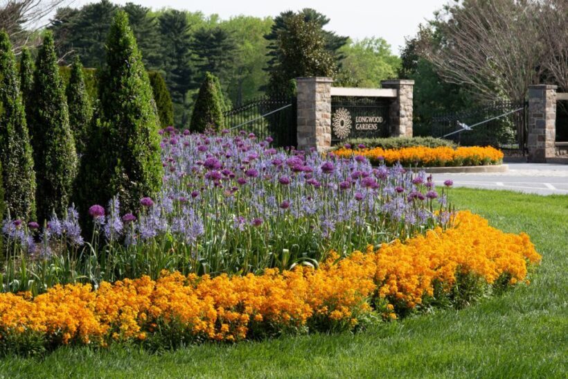 Longwood Gardens Holiday Lights Tour from Philadelphia - Who Will Love This Tour?