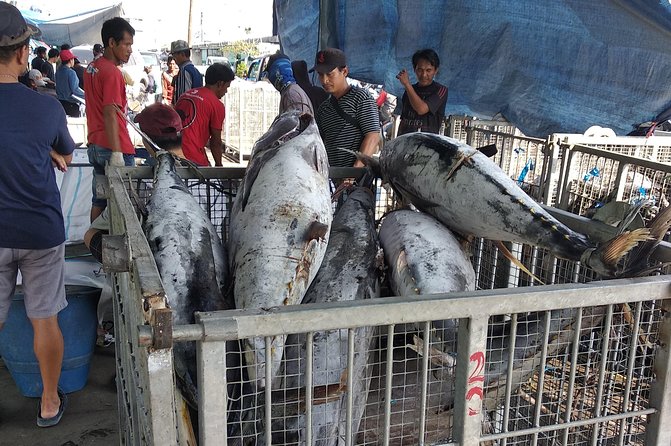 Look at Jakarta Local Experience Tour With Boating - The Sum Up