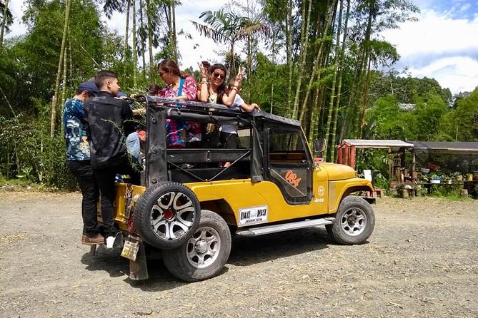 On the lookout for the Howler Monkey in Beards - Bremen - Spotting the Elusive Howler Monkeys