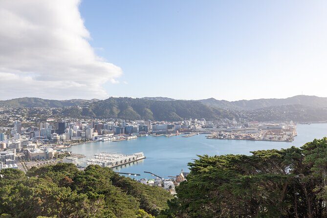 Lord of the Rings 1/2 day Tour to rule them all incl. Weta Tour - Practical Considerations