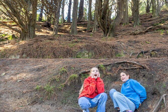 Lord of The Rings Full Day locations tour incl Weta & keepsake - Rivendell and Isengard