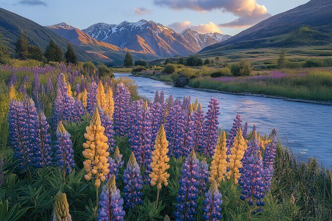 Lord of the Rings Scenic Half Day Tour from Queenstown - The Sum Up: Is It Worth It?