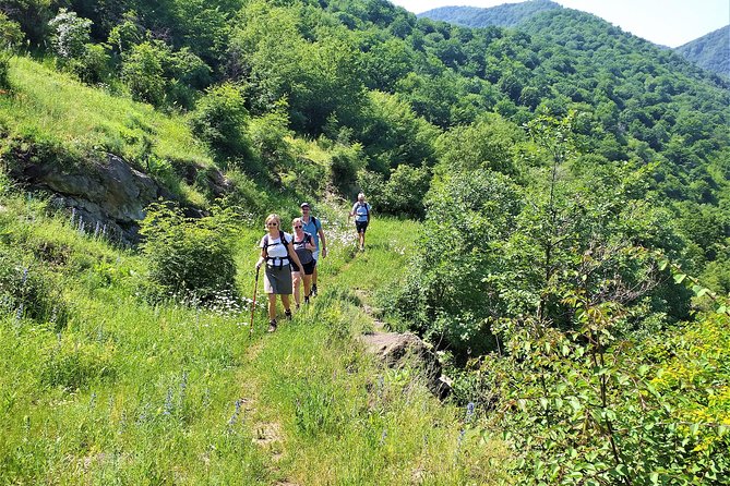 Lori Canyon Vacations - The Sum Up: Who Will Love Lori Canyon Vacations?