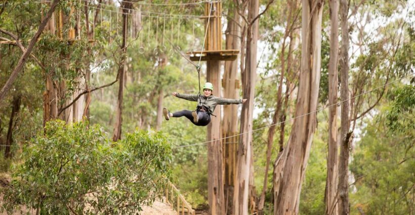 Lorne: Live Wire Park Super Circuit Ticket - What Is the Live Wire Park Super Circuit?
