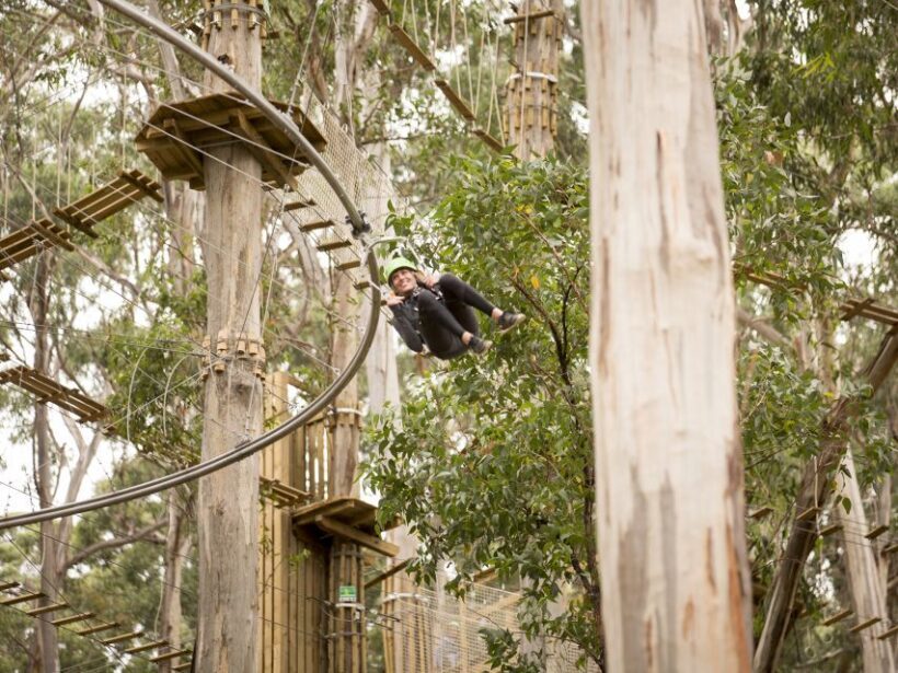 Lorne: Live Wire Park Ticket with Zip Line Rollercoaster - An In-Depth Look at the Experience