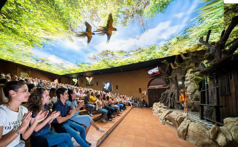 Loro Parque and Siam Park Combined Admission Tickets - What Is Included in the Ticket