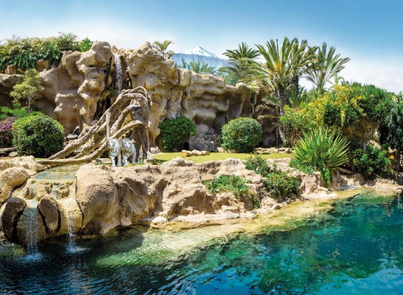 Loro Parque and Siam Park Combined Admission Tickets - Pricing and Value