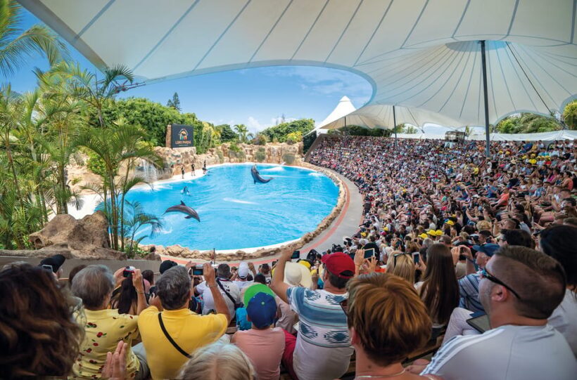 Loro Parque and Siam Park Combined Admission Tickets - Authentic Experiences from Reviewers