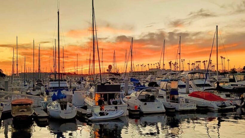 Los Angeles #1: Luxury Boat Cruise-Wine, Cheese & Sea Lions - An In-Depth Look at the Experience