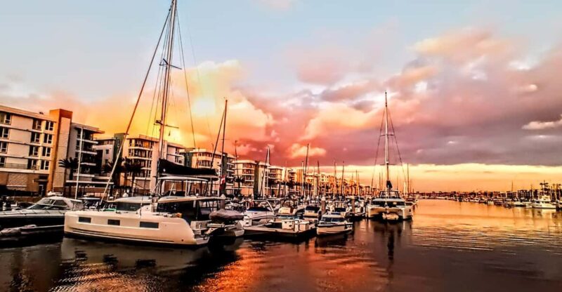 Los Angeles #1: Luxury Boat Cruise-Wine, Cheese & Sea Lions - Final Thoughts