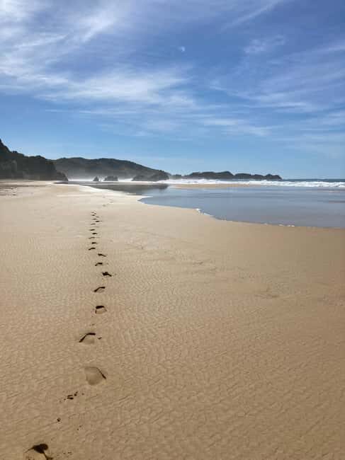 Los Angeles: 2-Day Private Surf Tour with Lunch - Key Points