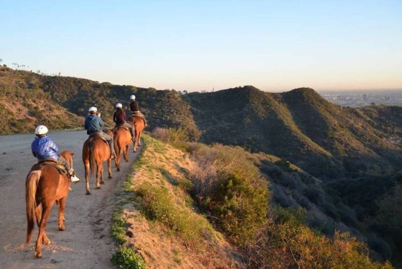 Los Angeles: 2-Hour Hollywood Trail Horseback Riding Tour - An In-Depth Look at the Tour Experience