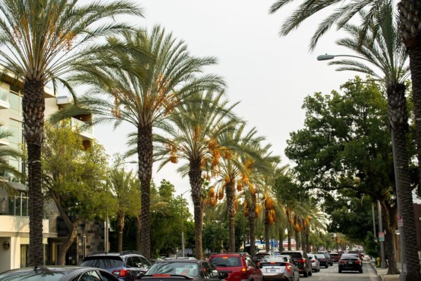Los Angeles: 3-Hour Private Driving Tour w/ Local Guide - Practical Tips for Travelers