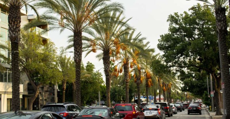 Los Angeles: 3-Hour Private Driving Tour w/ Local Guide - Exploring Los Angeles with a 3-Hour Private Driving Tour