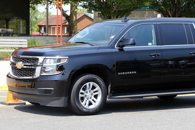 Los Angeles Airport(LAX): Private Transfer to/from Disneyland - Who Would Benefit from This Service?