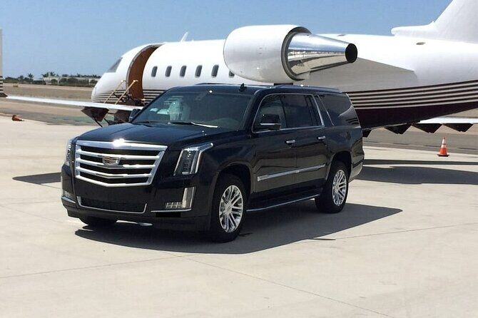 Los Angeles Airport(LAX)to Los Angeles - Arrival Private Transfer - Key Points