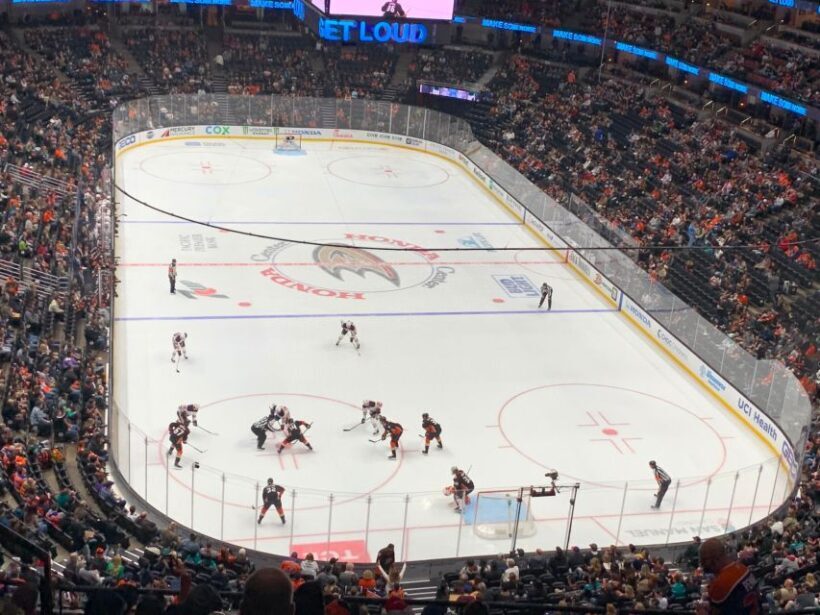 Los Angeles: Anaheim Ducks Ice Hockey Game Ticket - Who Should Consider This Experience?