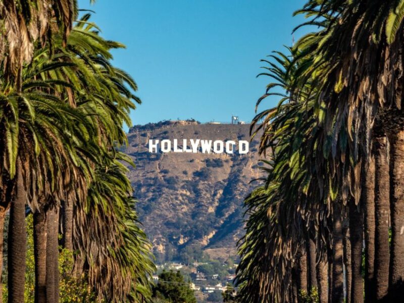 Los Angeles, Hollywood, and Beverly Hills Private Tour. - The Experience and Guide Quality