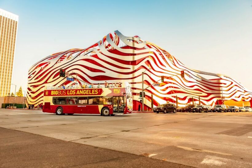 Los Angeles: Hop-on Hop-off Sightseeing Tour by Open-top Bus - Authentic Experiences and Comments from Travelers