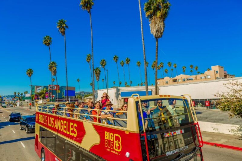 Los Angeles: Hop-on Hop-off Sightseeing Tour by Open-top Bus - The Sum Up