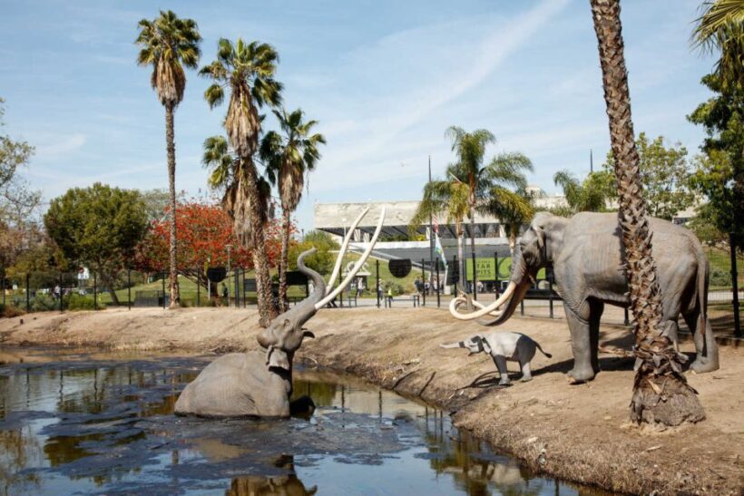 Los Angeles: La Brea Tar Pits Museum Ticket - FAQ