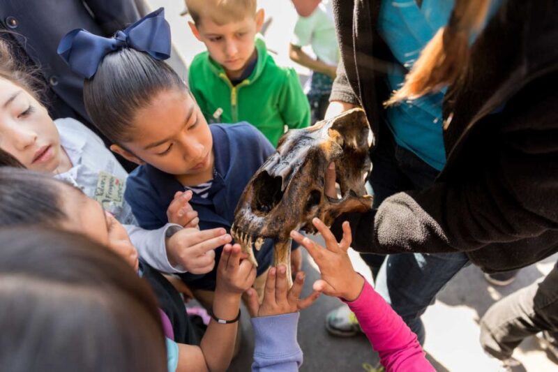 Los Angeles: La Brea Tar Pits Museum Ticket - Practical Details and Tips for Your Visit