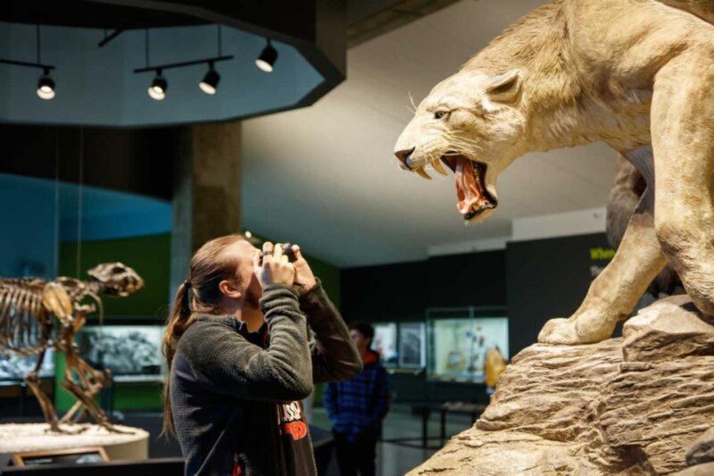 Los Angeles: La Brea Tar Pits Museum Ticket - The Sum Up