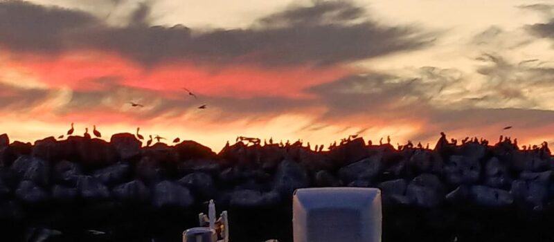 Los Angeles Luxury Cruise w/ Wine, Charcuterie & Sealions - FAQ