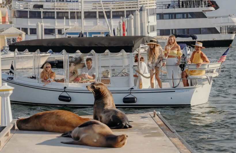 Los Angeles: Luxury Cruise with Wine, Cheese & Sea Lions - What Travelers Say