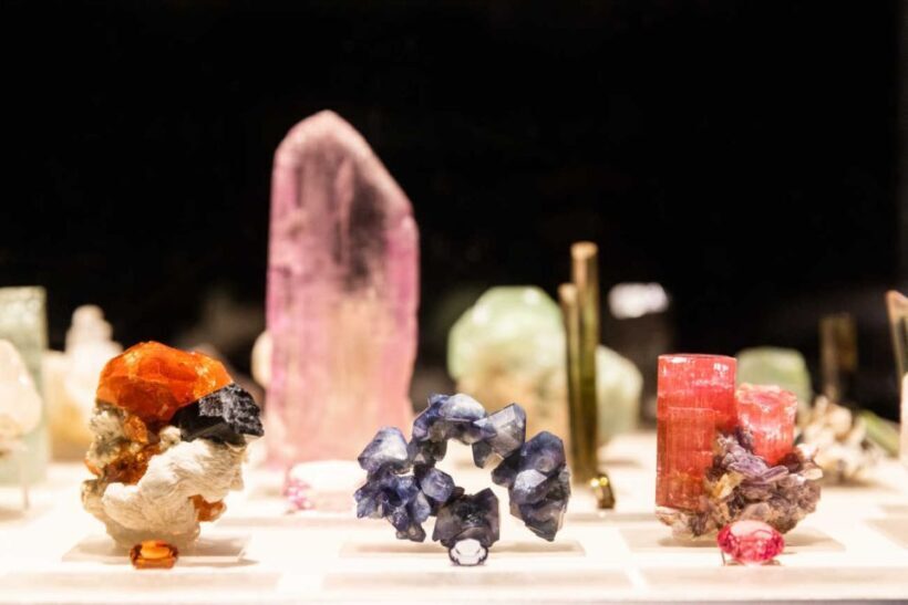 Los Angeles: Natural History Museum of LA Entry Ticket - An In-Depth Look at the Museum Experience