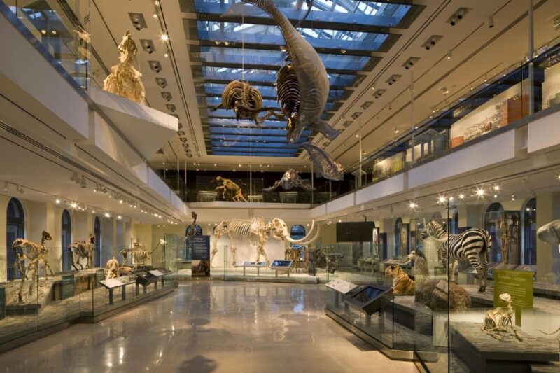 Los Angeles: Natural History Museum of LA Entry Ticket - Who Should Visit?