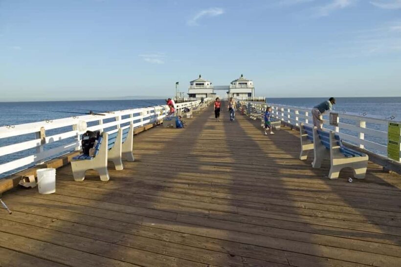 Los Angeles: Pacific Coast Highway Private Day Trip - The Role of Your Driver/Guide
