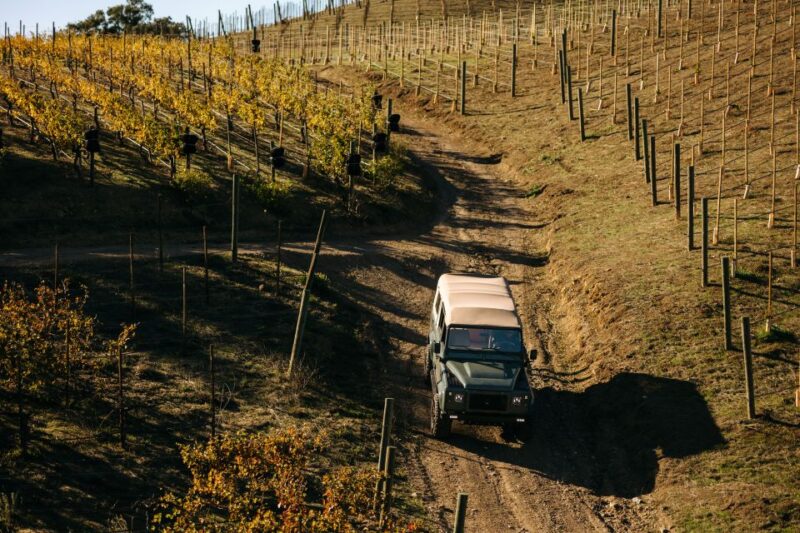 Los Angeles: Private 4x4 Vineyard Tour in Malibu - The Vehicles and Comfort