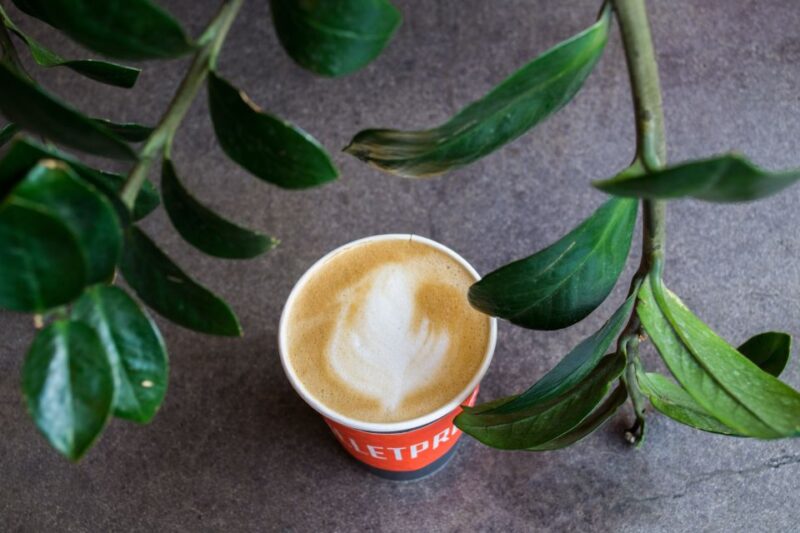 Los Angeles: Private Graffiti Tour in the Arts District - Considerations and Authenticity